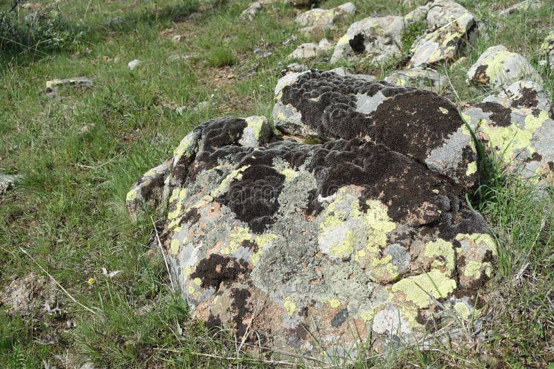 Moss-covered Rocks, Old Rocks Mossed Over Stock Photo - Image of moss ...