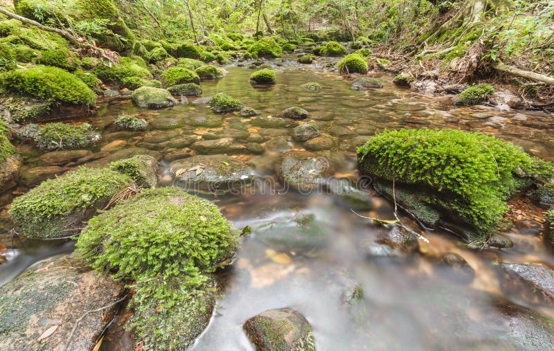 Moss Covered Rocks in River Stock Image - Image of rock, environment ...