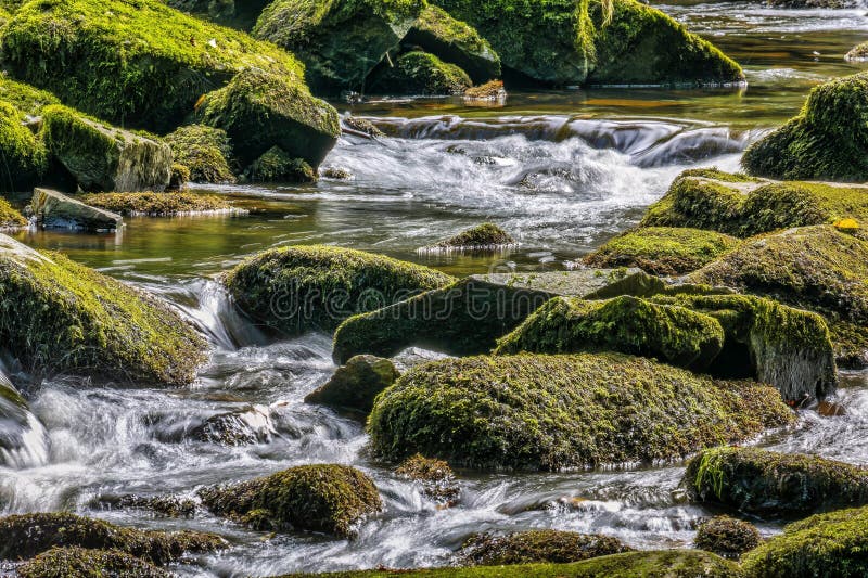 Moss-covered Rocks in a Stream Stock Image - Image of outside, reserve ...