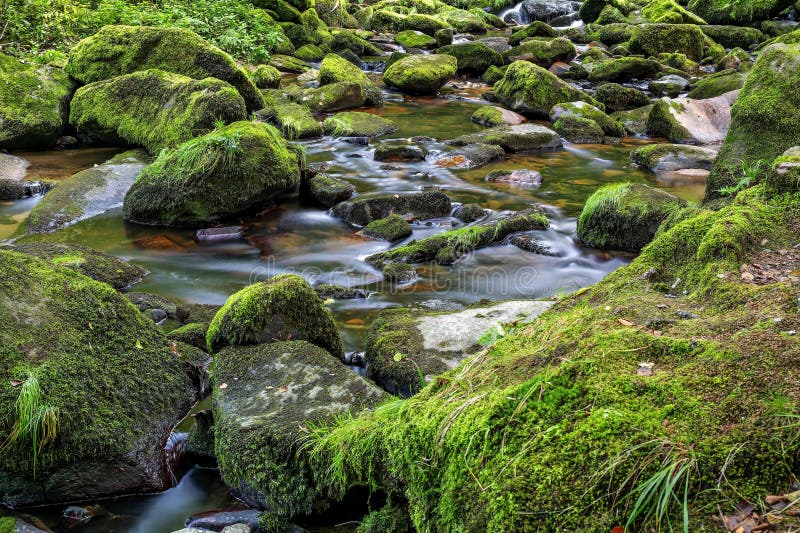Moss-covered Rocks in a Stream in the Bavarian Forest Stock Photo ...