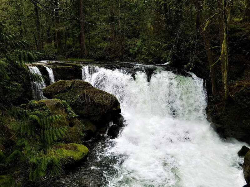 Whatcom Falls Park stock photo. Image of beautiful, falls - 94641356