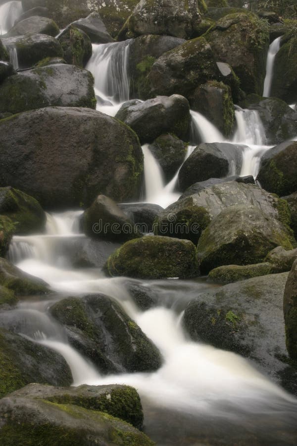 Moss Covered Rocks and Water Stock Image - Image of england, forest ...