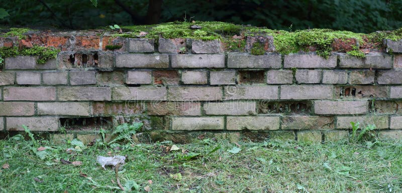 Moss-covered Ruins of an Old Brick Wall Stock Photo - Image of material ...