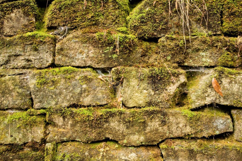 Moss Covered Stone Bricks stock image. Image of stone - 7136835