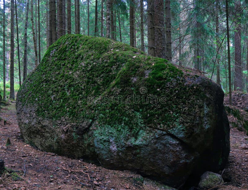 Moss-covered Stone in the Forest Stock Image - Image of stone ...