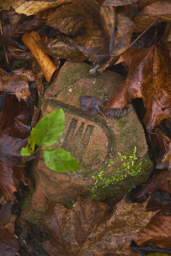 Moss-covered Stone Peeking through Autumn Leaves Stock Photo - Image of ...
