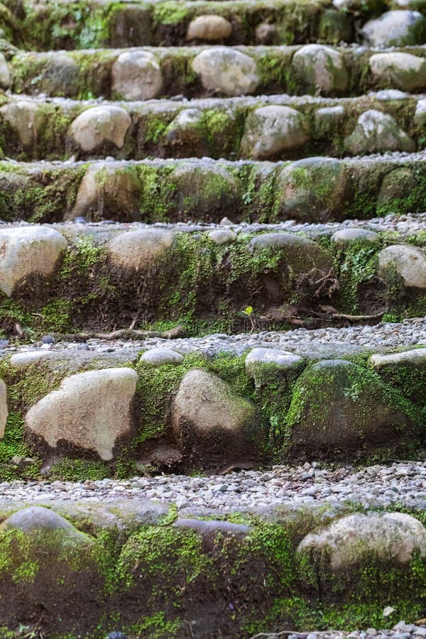 Moss-covered Stone Steps on a Hiking Trail Stock Photo - Image of ...