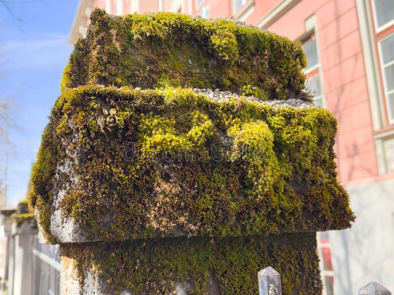 Moss-covered Stone Structure in Urban Setting with Sunlit Details Stock ...