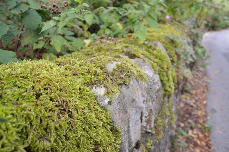 Moss Covered Stone Wall on a Country Lane Stock Photo - Image of ...