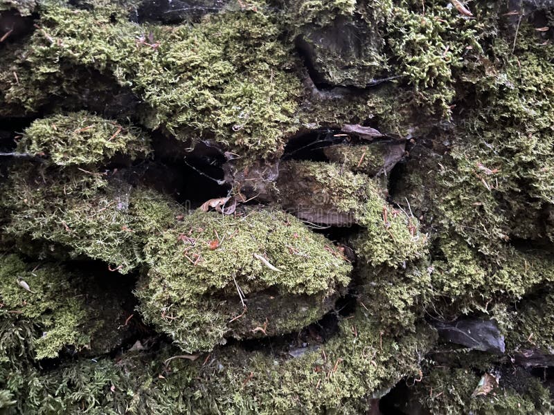 The Moss Covered Stone Wall Stock Image - Image of ireland, stream ...