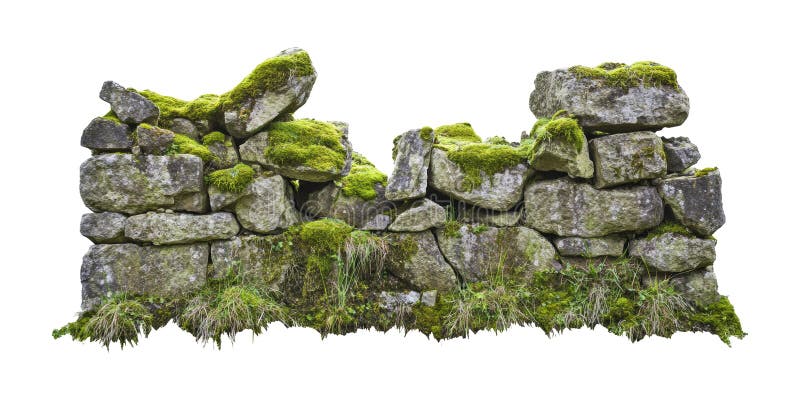 Moss-Covered Stone Wall. Nature and Rustic Architecture Isolated on ...