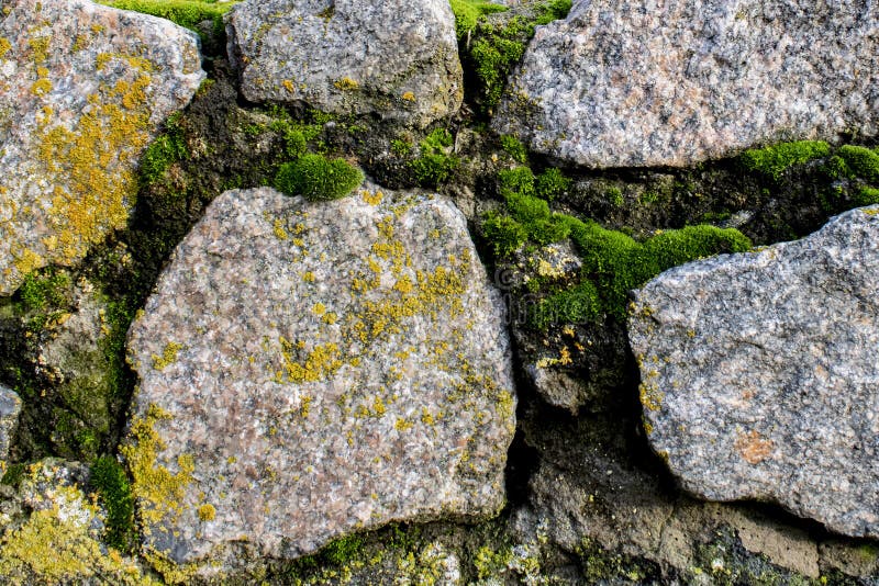 Moss-covered stone wall stock photo. Image of color - 241672416