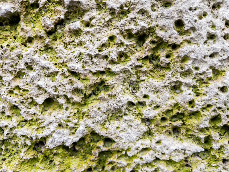 Moss Covered Stone Wall Texture As Background Natural Pattern Stock ...