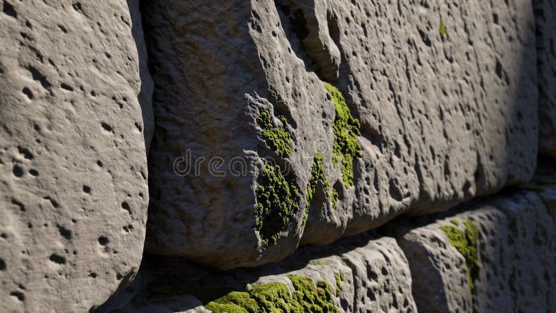 Moss-covered Stone Wall Texture with Sunlight Detail Stock Video ...