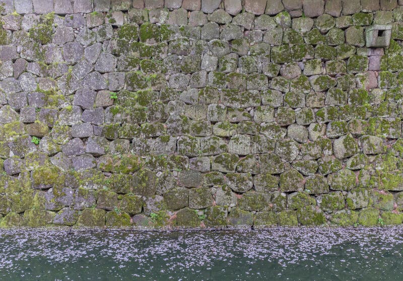Moss On The Walls Of Old Buildings Stock Photo - Image of surface ...