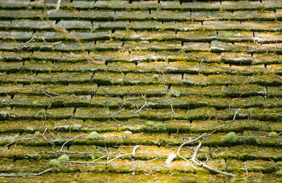 116 Weathered Cedar Shingle Exterior Siding Stock Photos - Free ... 116 Weathered Cedar Shingle Exterior Siding Stock Photos - Free ...