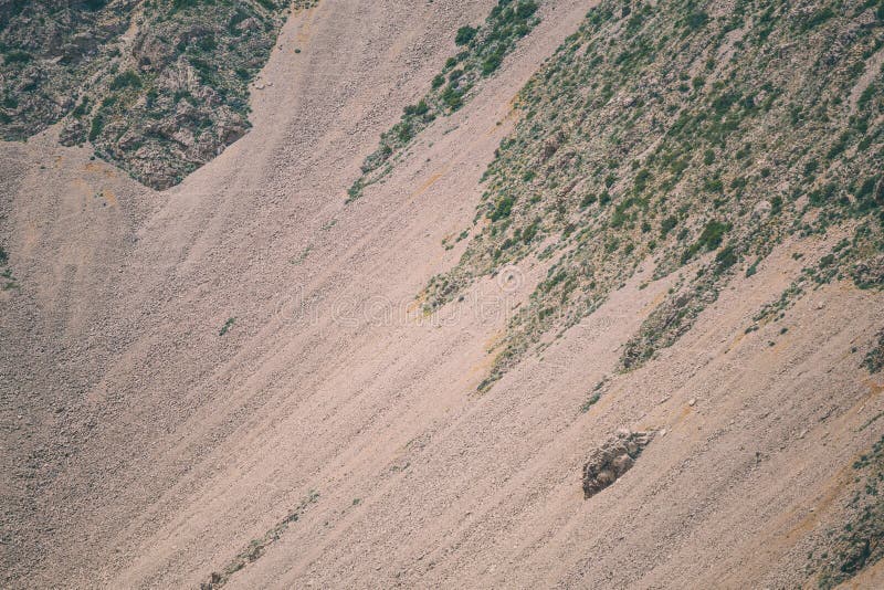 Moss on a dry sandy slope stock photo. Image of mountain - 164626484