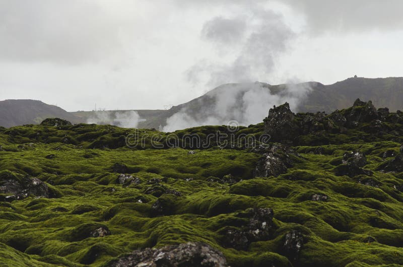 Moss Field with the Steam in the Back Stock Photo - Image of autumn ...