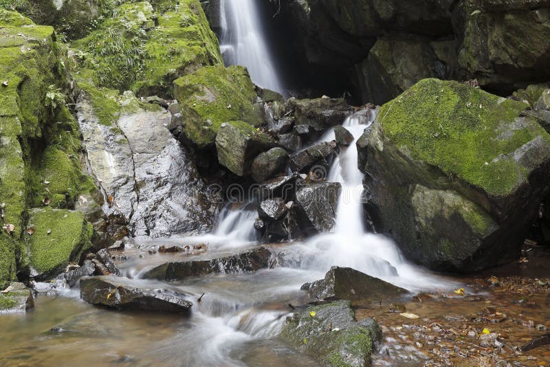Moss and flowing water stock photo. Image of flat, ornament - 59700912