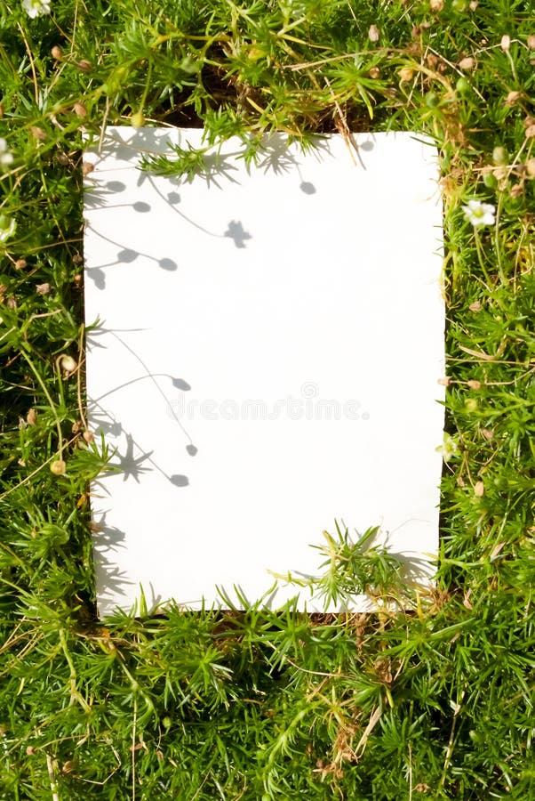 Moss frame stock image. Image of space, outdoor, vegetative - 17416197