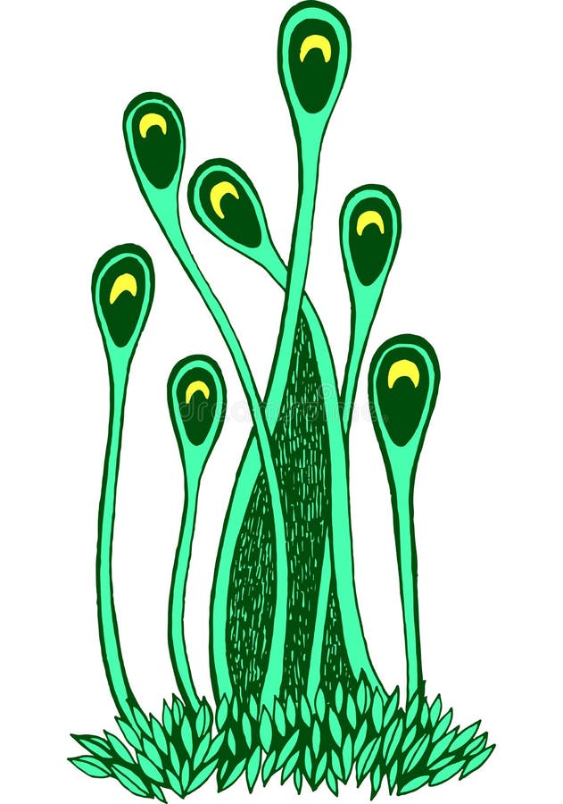 34+ Artwork moss Free Stock Photos - StockFreeImages