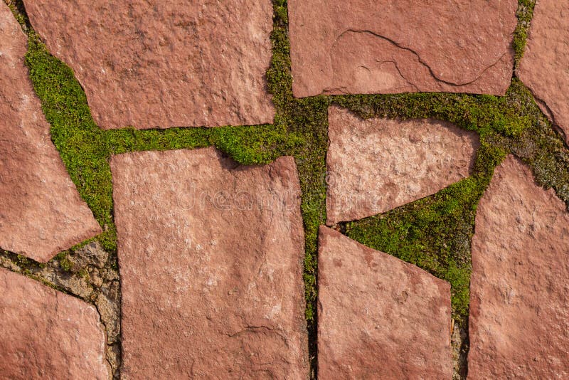 Moss and Grass between Red Tiles on the Path Stock Image - Image of ...