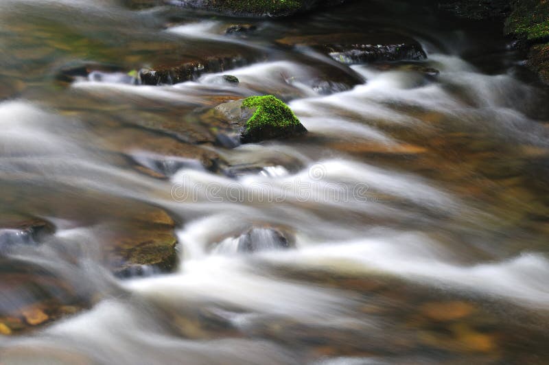 Moss Growing on a Rock in a Brook Stock Image - Image of horizontal ...