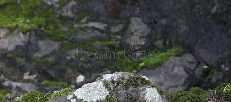 Moss-covered Rock Overlooking a Steep Cliff Edge Stock Photo - Image of ...