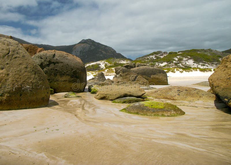 Moss Grows Fat on a Rolling Stone Stock Photo - Image of sandy, rocks ...