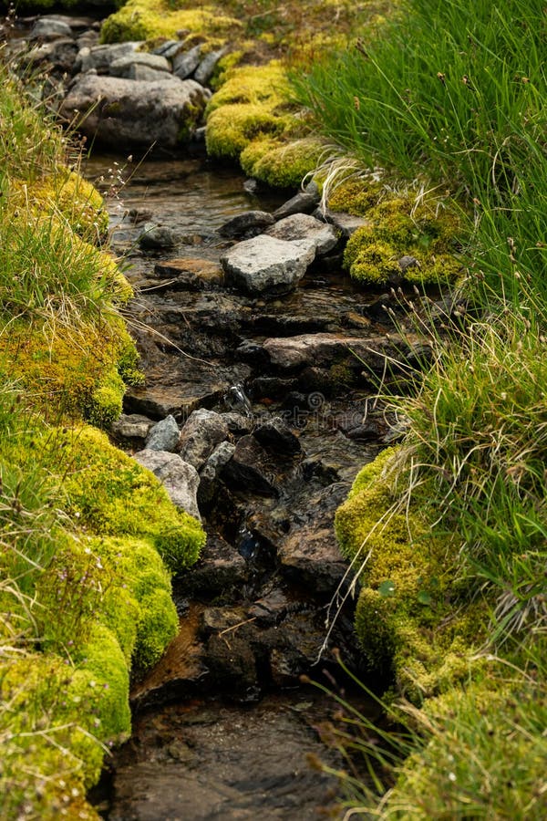 Moss Lines Stream Running through Spray Park Stock Photo - Image of ...