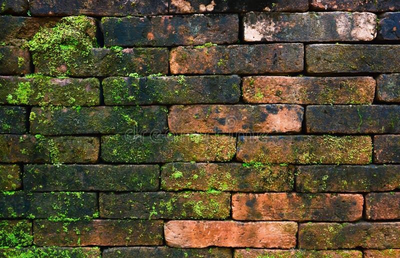 Moss on Old Brick Wall Texture Background Stock Photo - Image of ...
