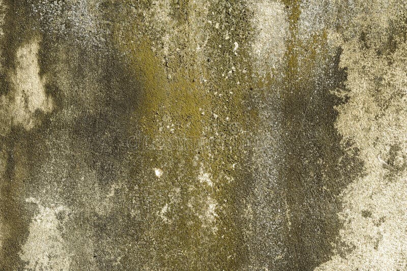 Moss stock photo. Image of rough, concrete, pattern, abstract - 44620900