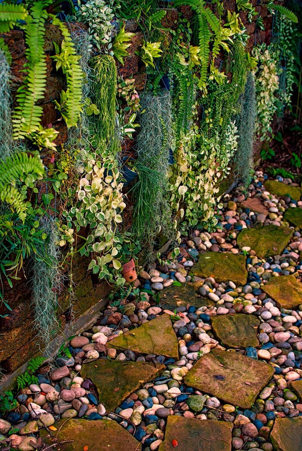 Moss pathway stock photo. Image of relax, adventure, leaves - 43289142