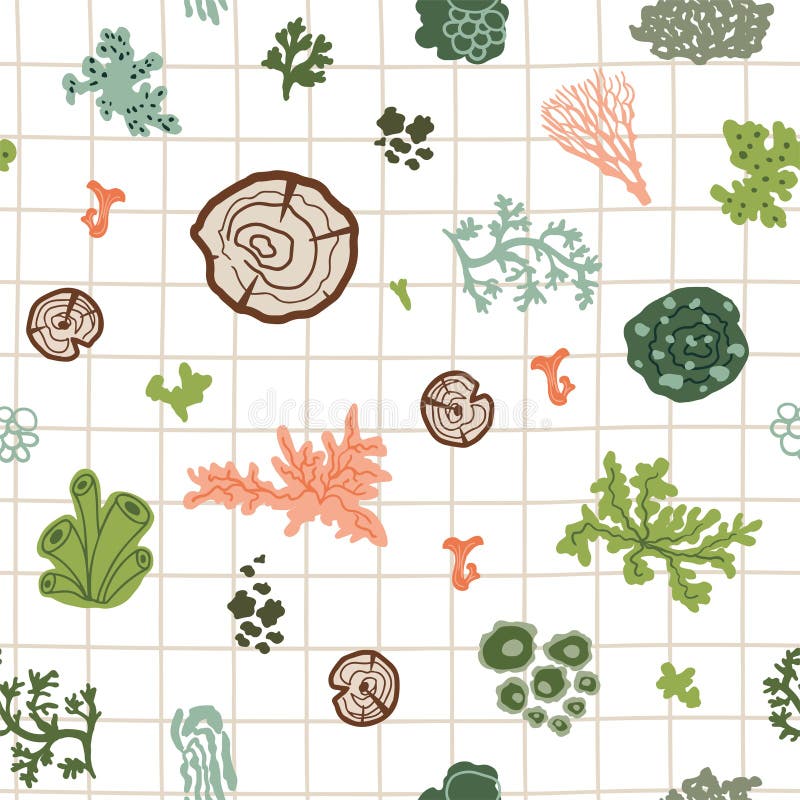 Lichens Photo Stock Illustrations – 384 Lichens Photo Stock ...