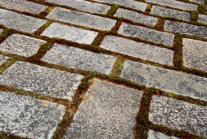 Moss paving stock photo. Image of footpath, gray, city - 39046300