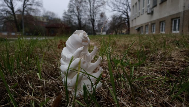 Plastic Figure of Water Bear Tardigrada Milnesium Tardigradum Stock ...