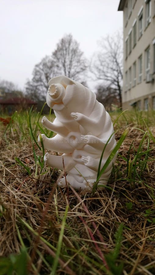 Plastic Figure of Water Bear Tardigrada Milnesium Tardigradum Stock ...
