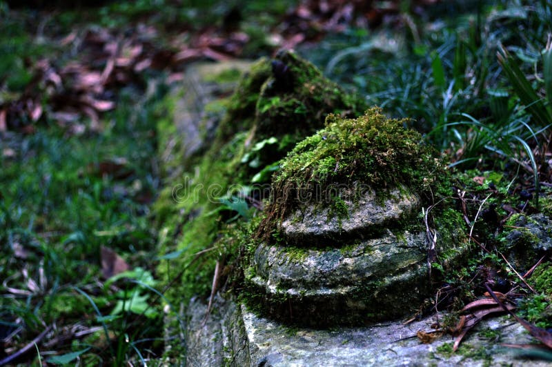 Moss on a stone stock photo. Image of moss, summer, architecture ...