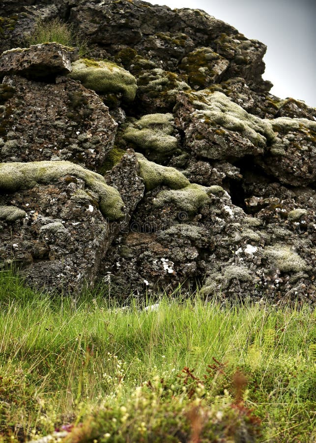Moss on rock stock image. Image of gardens, moss, grass - 43494185