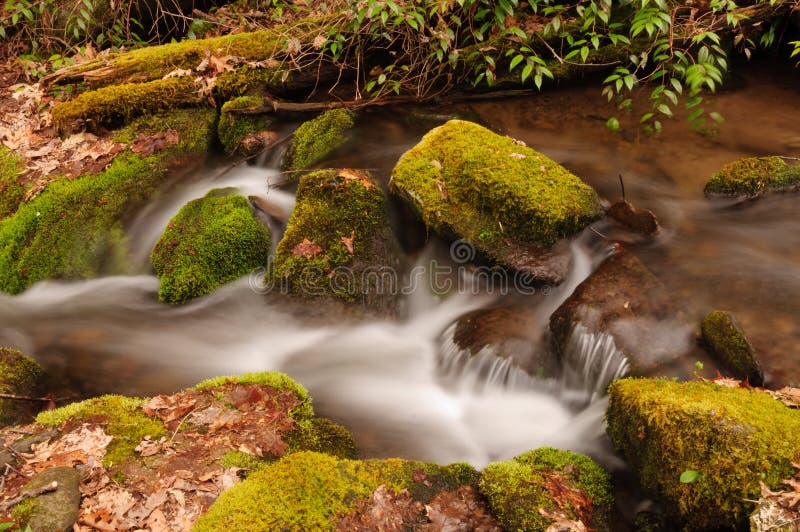 Moss and Rocks in Mountain Stream Stock Image - Image of national ...