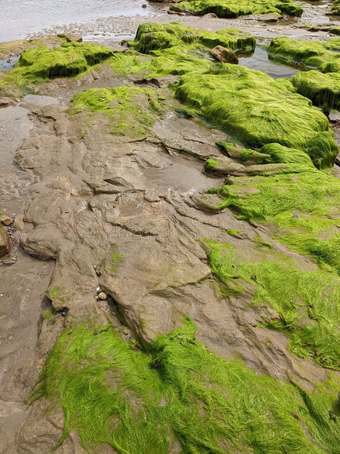 SystematicS2 (Systematics2) - Photographer profile