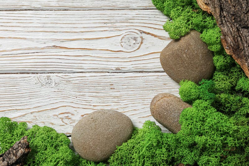 Moss, Space for Text, Concept of Different Backgrounds Stock Image ...