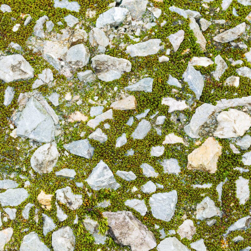Moss and stone stock photo. Image of road, moss, natural - 66214900