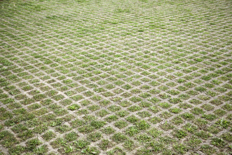 323 Mossy Paving Stone Stock Photos - Free & Royalty-Free Stock Photos ...