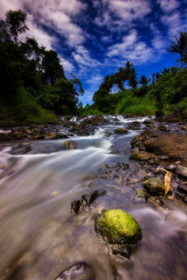 Moss at Stone in River Stream Stock Image - Image of water, autumn ...