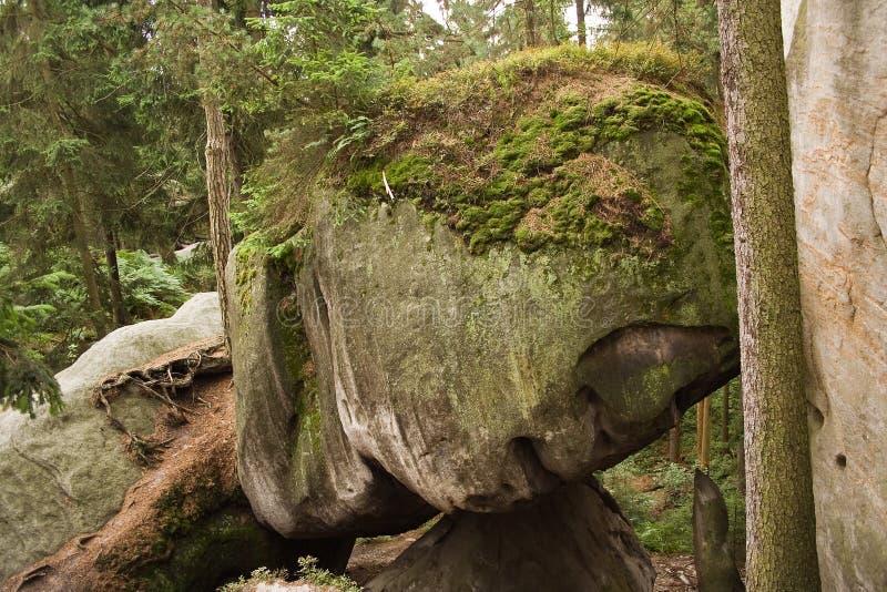 Forest Maine Boulder Moss Stock Photos - Free & Royalty-Free Stock ...