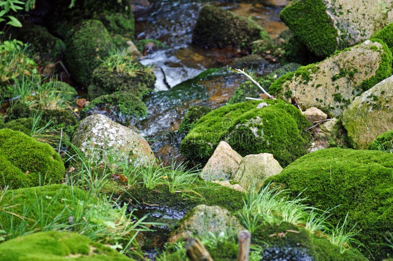 Moss on stone stock photo. Image of mountain, landscape - 35670874