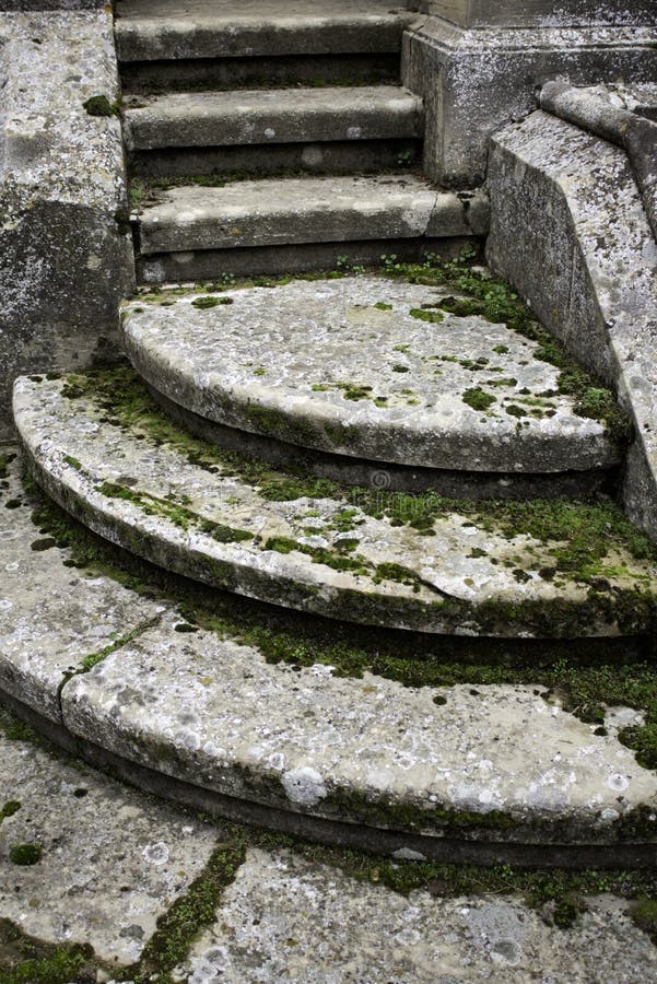 Moss stone staircase stock photo. Image of leaf, landscape - 137600556