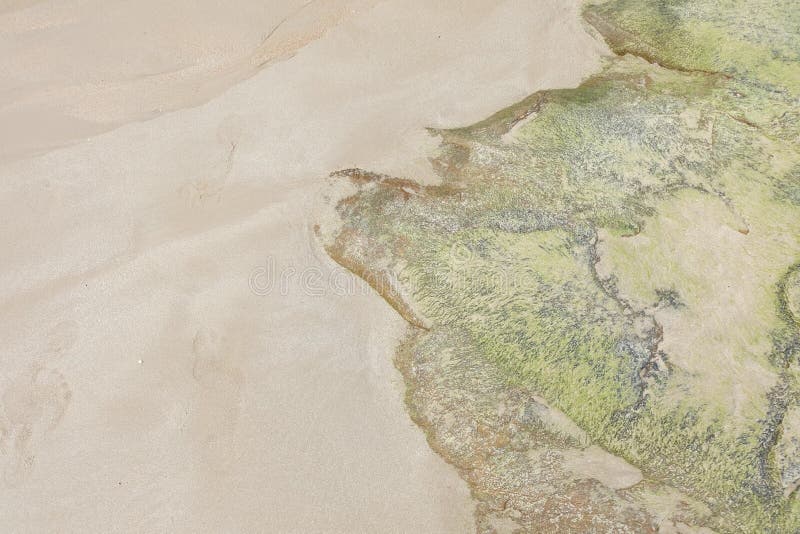 Moss on Stone, Stone Texture Background and Sand Stock Image - Image of ...