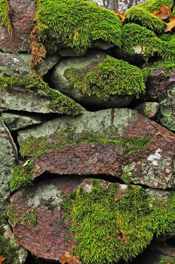 Moss on stone wall stock photo. Image of exterior, rural - 11611002